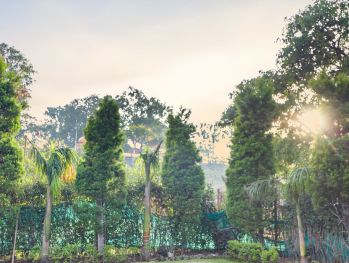 Gallery | Best Hotels and Resorts in Pachmarhi – Pandav Hotels